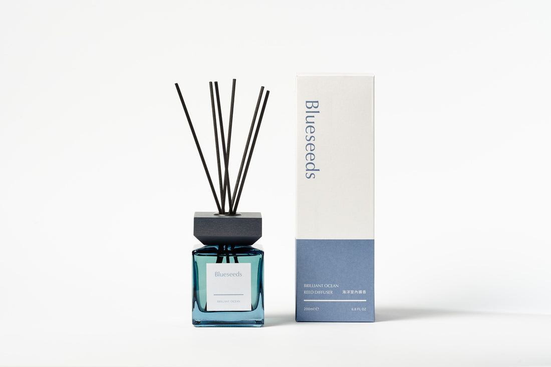 Brillant Ocean Reed Diffuser 200ml - Woody Note | Blueseeds – Blueseeds 芙彤園